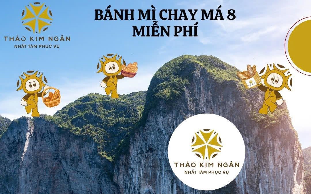 BÁNH MÌ CHAY MÁ 8 TẠI PHÒNG VÉ TÂY NINH - LAN TỎA YÊU THƯƠNG – GỬI TRAO ...